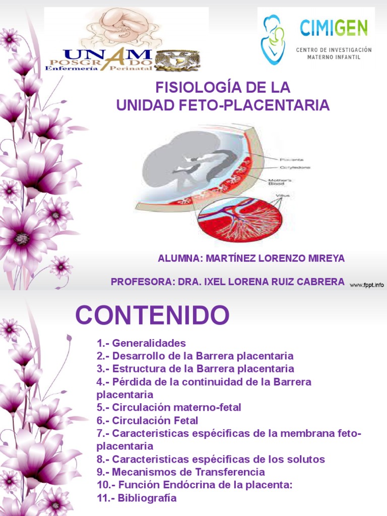 Fisiología de La Unidad Feto-Placentaria. | PDF | Placenta | Feto