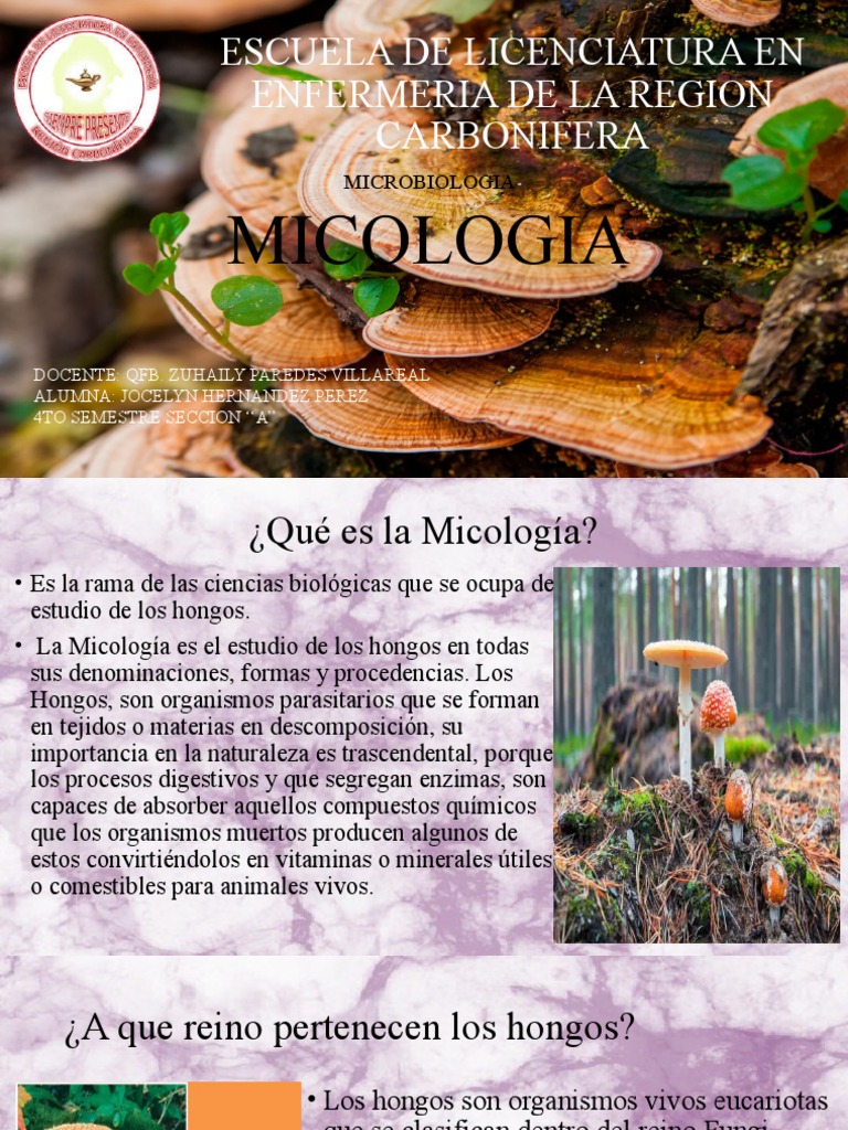 Micologia | PDF | Hongo | Reproducción