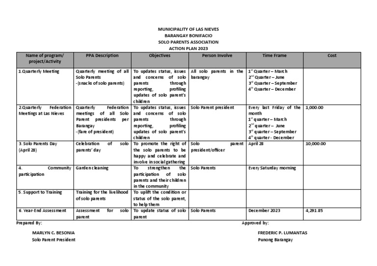 Solo Parent Action Plan | PDF