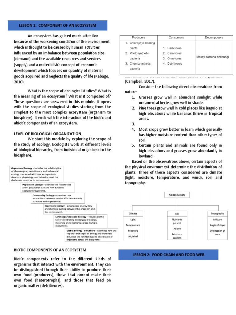 Environmental Science Midterm | PDF | Food Web | Estuary
