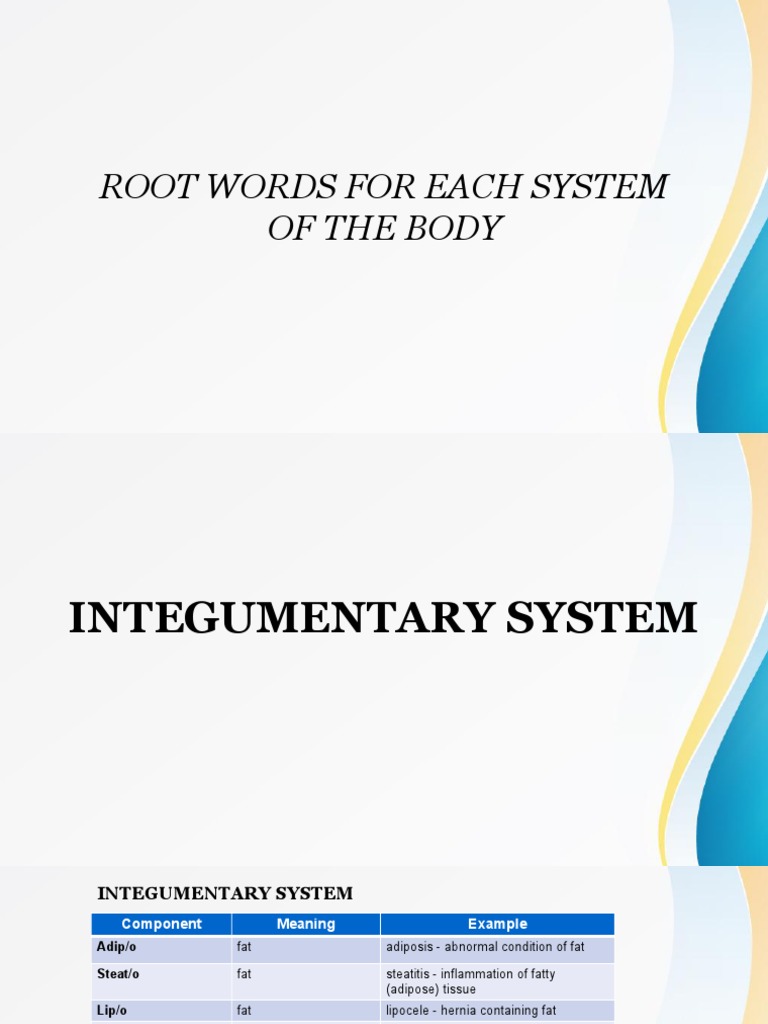 Understanding Medical Root Words | PDF | Lung | Respiratory System