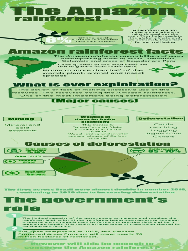 Infographic On Rainforest | PDF
