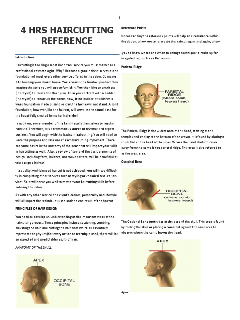 Anatomy and Techniques in Haircutting | PDF | Hair | Hairstyle