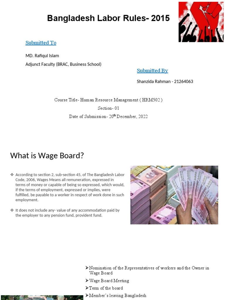 Assignment - Shanzida Rahman - 21264063 | PDF | Employment | Wage