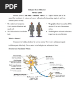 Neurotransmitter Cheat Sheet AP Review | PDF | Neurotransmitter ...