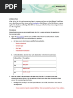 Virus Student Worksheet Answer Key | PDF | Virus | Adenoviridae