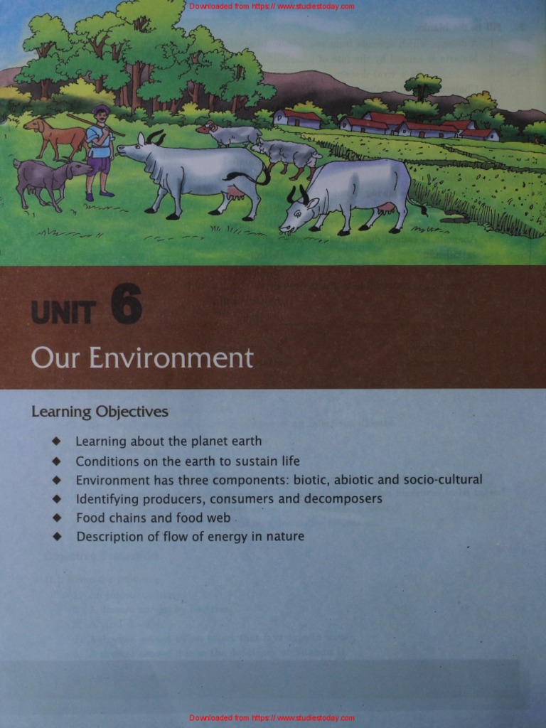 ICSE Class 6 Biology Chapter 6 Our Environment | PDF