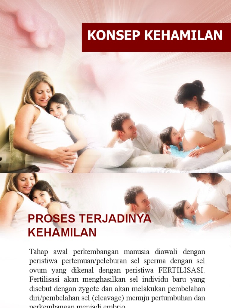 Konsep Kehamilan | PDF