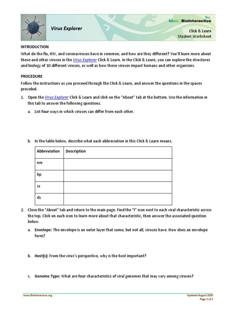 Virus Explorer-Worksheet | PDF | Virus | Adenoviridae