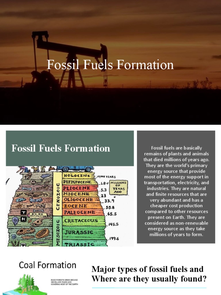 Fossil Fuels Formation | PDF | Petroleum | Coal