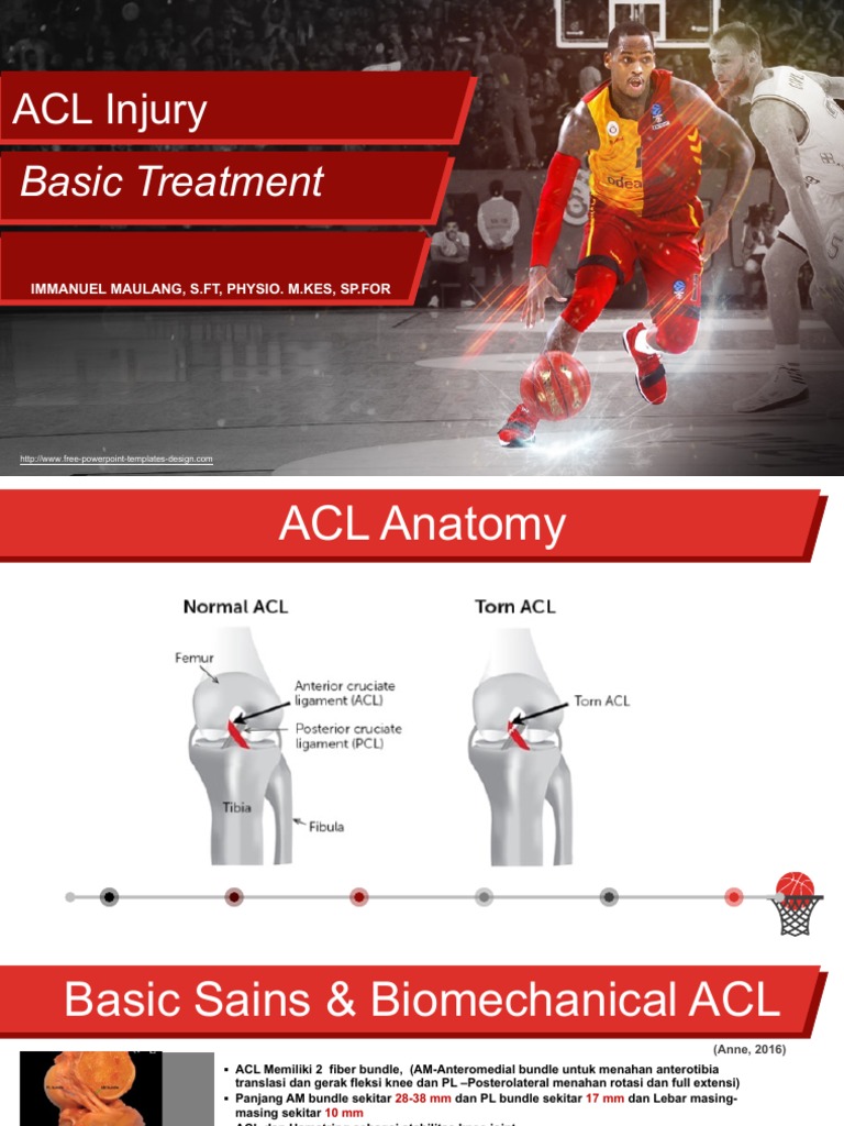 Judul: "Pemulihan Cidera ACL: Latihan Dasar dan Biomekanik" | PDF