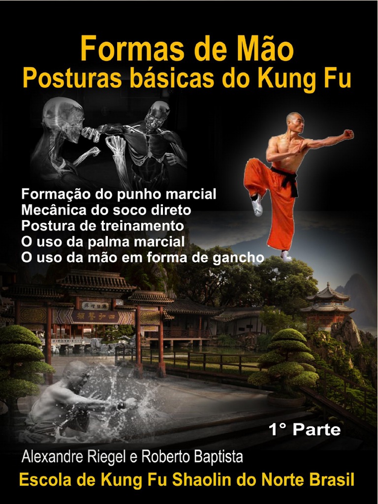 Formas de Mão - 1° Parte | PDF | Artes marciais chinesas | Humano