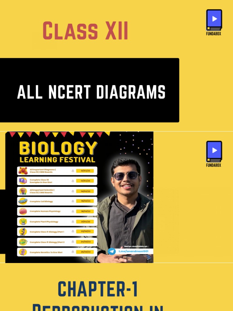 All NCERT Diagrams PPT (Class XII) PDF | PDF | Biology