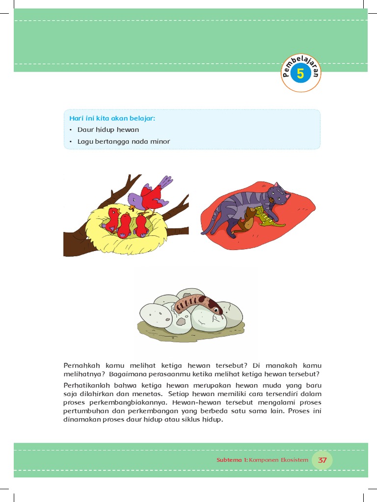 Buku Tematik Siswa Kelas 5 TEMA 5 (Ekosistem) - 43-45 PDF | PDF