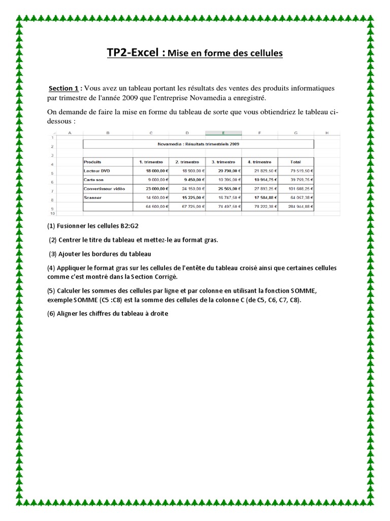 TP2-Excel Mise en Forme Des Cellules | PDF