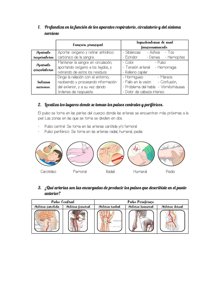 ASISE TAREA 1 | PDF | Artería | Presión sanguínea