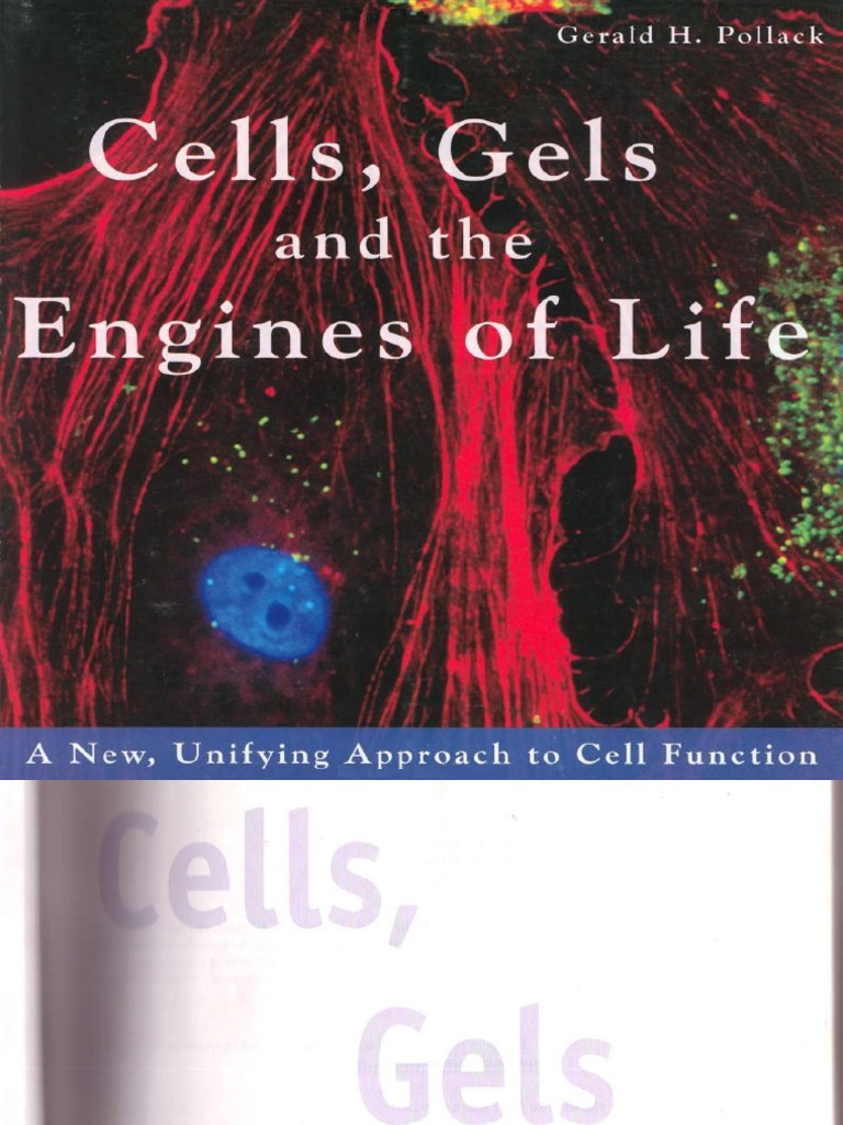 Pollack Cells Gels Engines Life | PDF | Cell Membrane | Sodium
