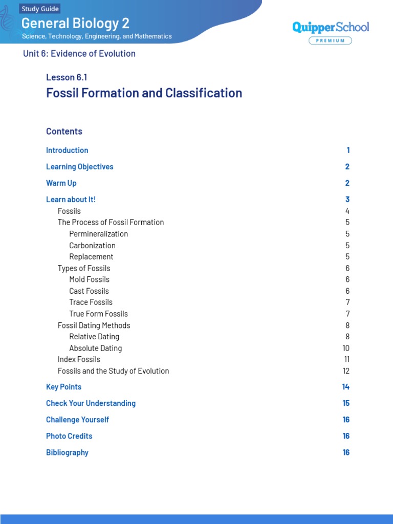 STUDY GUIDE UNIT 6.1 - Fossil Formation & Classification | PDF | Fossil ...