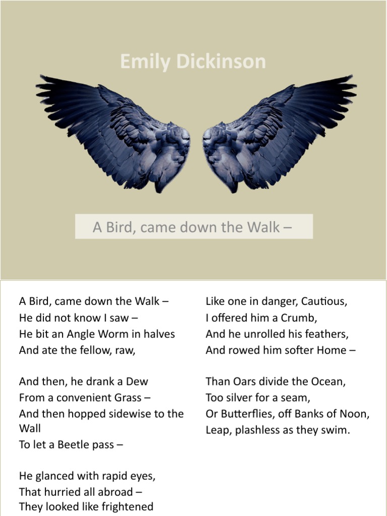Lecture 3 A Bird Came Down The Walk | PDF | Poetry | Poetics