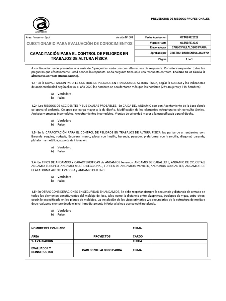 Diagnostico y Evaluación ARGENTA SpA | PDF | Andamio