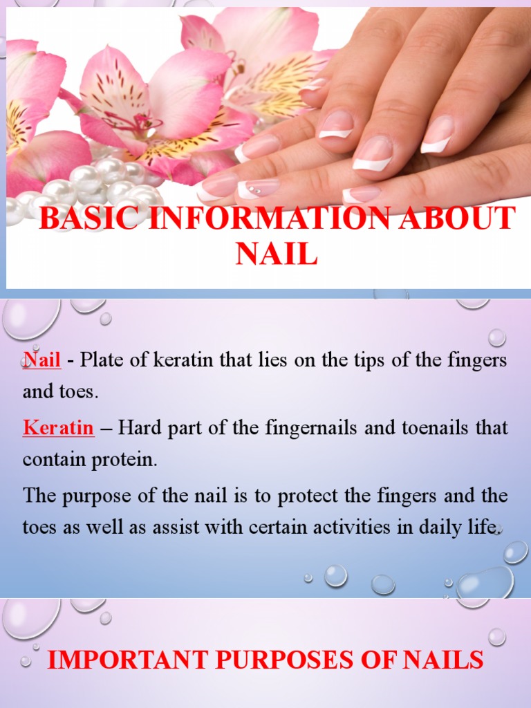 Basic Information About Nail Lesson 3 | PDF