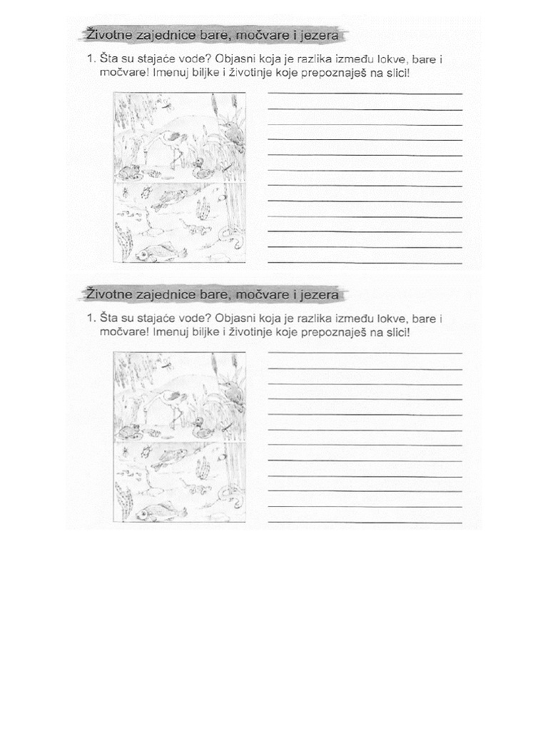 bara-pdf