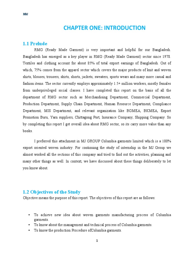 Internship Main Report | PDF | Data | Clothing