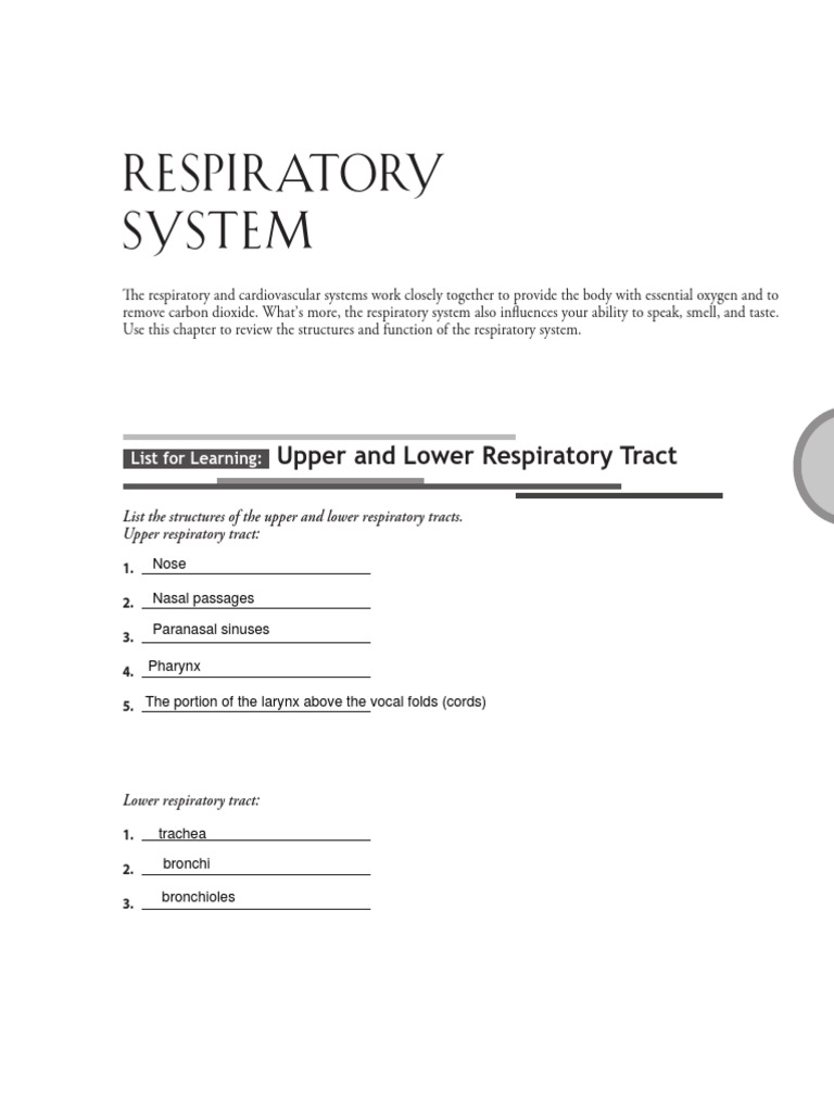Practical Unit 5 PDF | PDF | Lung | Respiratory Tract