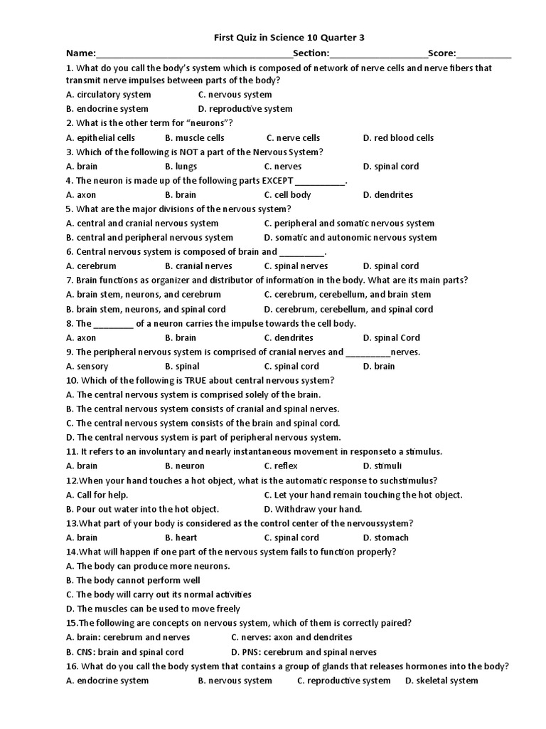 Nervous System and Endocrine System Quiz | PDF | Nervous System ...