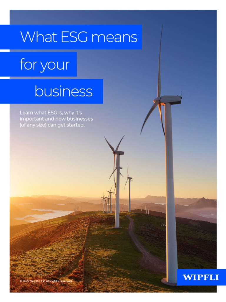 ESG-Ebook-What ESG Means For Your Business PDF | PDF