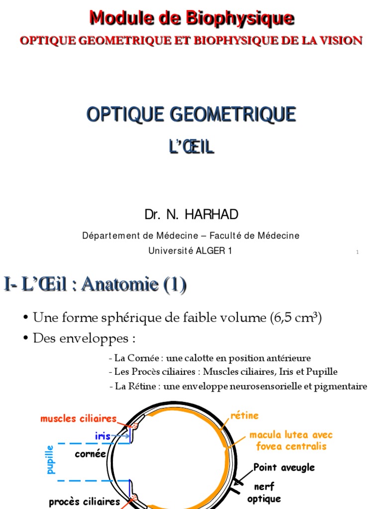 Optique Géométrique - Oeil-1 PDF | PDF | Œil humain | Philosophie naturelle