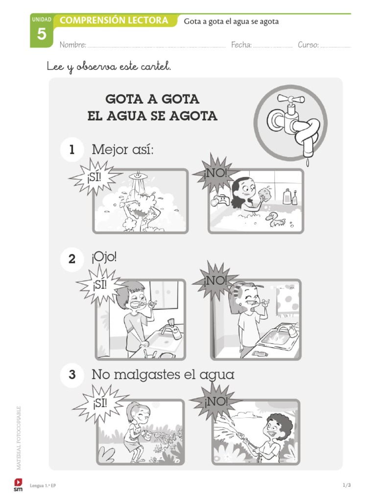 Comprensión Lectora Gota A Gota | PDF | Plomería | Ingeniería hidráulica