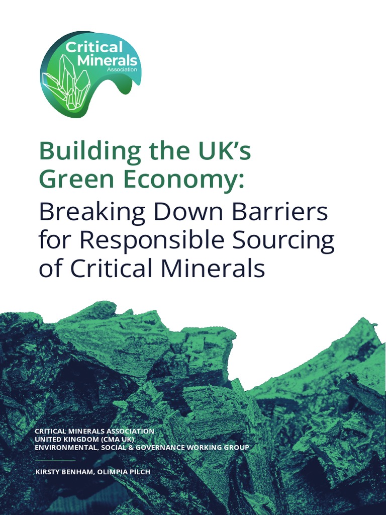 CM ESG Paper | PDF | Carbon Offset | Climate Change Mitigation