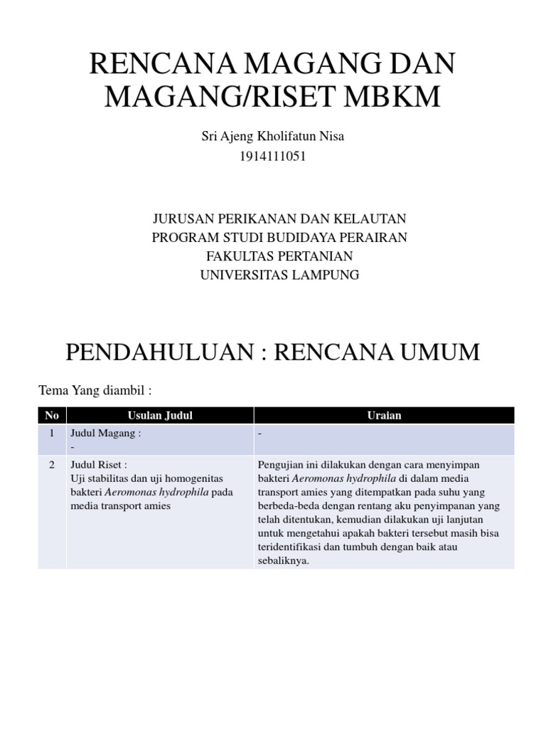 Sri Ajeng Kholifatun Nisa - Outline Rencana Magang Dan Riset | PDF