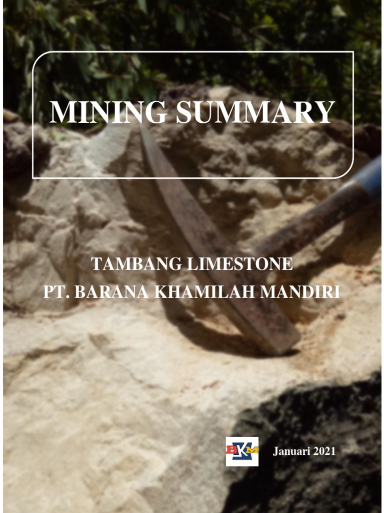 SUMMARY BARANA - Copy - 230317 - 112438 | PDF