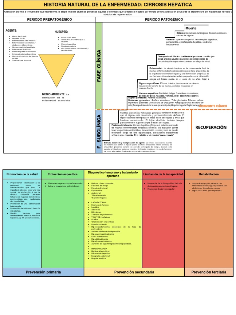Historia Natural de Cirrosis Hepatica (Remedial) | PDF | Cirrosis ...
