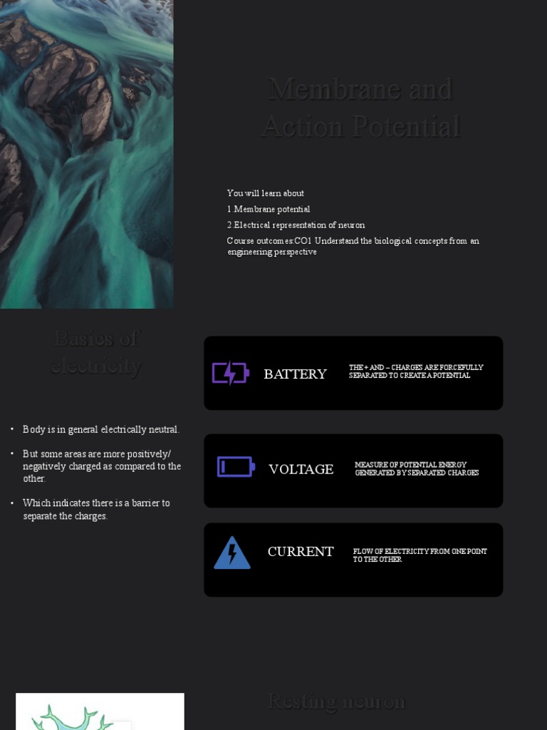 Membrane Potential and Action Potential Explained | PDF | Membrane ...