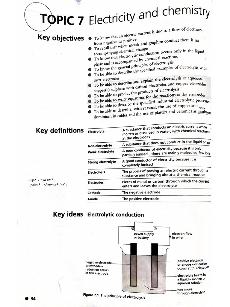 Electrolysis Scan | PDF