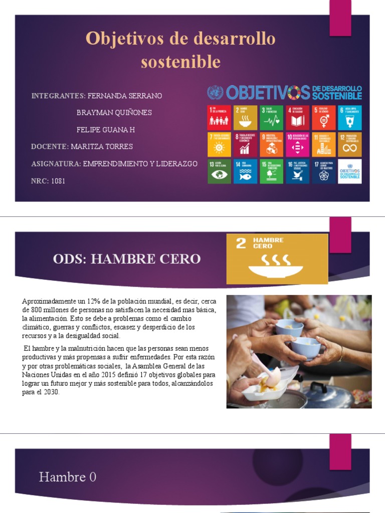 ODS, Hambre Cero | PDF | Hambre | Desnutrición