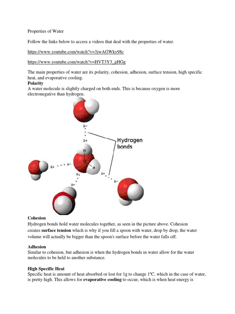 The Relationship Between Hydrogen Bonding And Surface Tension, Adhesion ...
