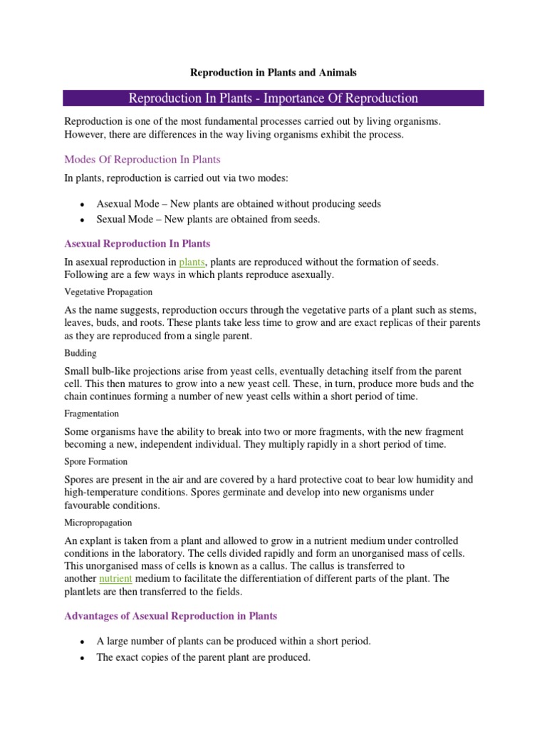 Plant and Animal Reproduction Guide | PDF | Sexual Reproduction ...