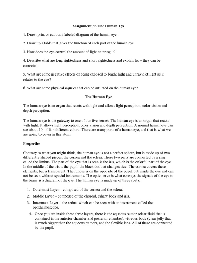 Lesson 8 - The Human Eye | PDF