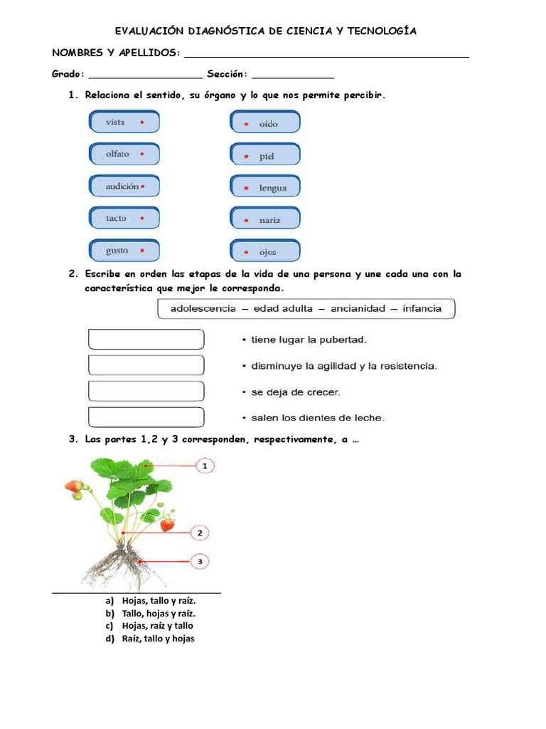 Evaluación Diagnóstica de Ciencia y Tecnología | PDF