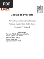 Cedula de Proyecto | PDF