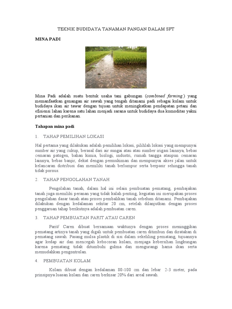 Panduan Mina Padi untuk Petani | PDF