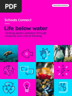 PYP Planner - Sharing The Planet | PDF | Narrative | Learning