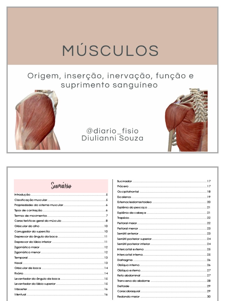 Material - Músculos PDF | PDF | Anatomia humana | Sistema Locomotor