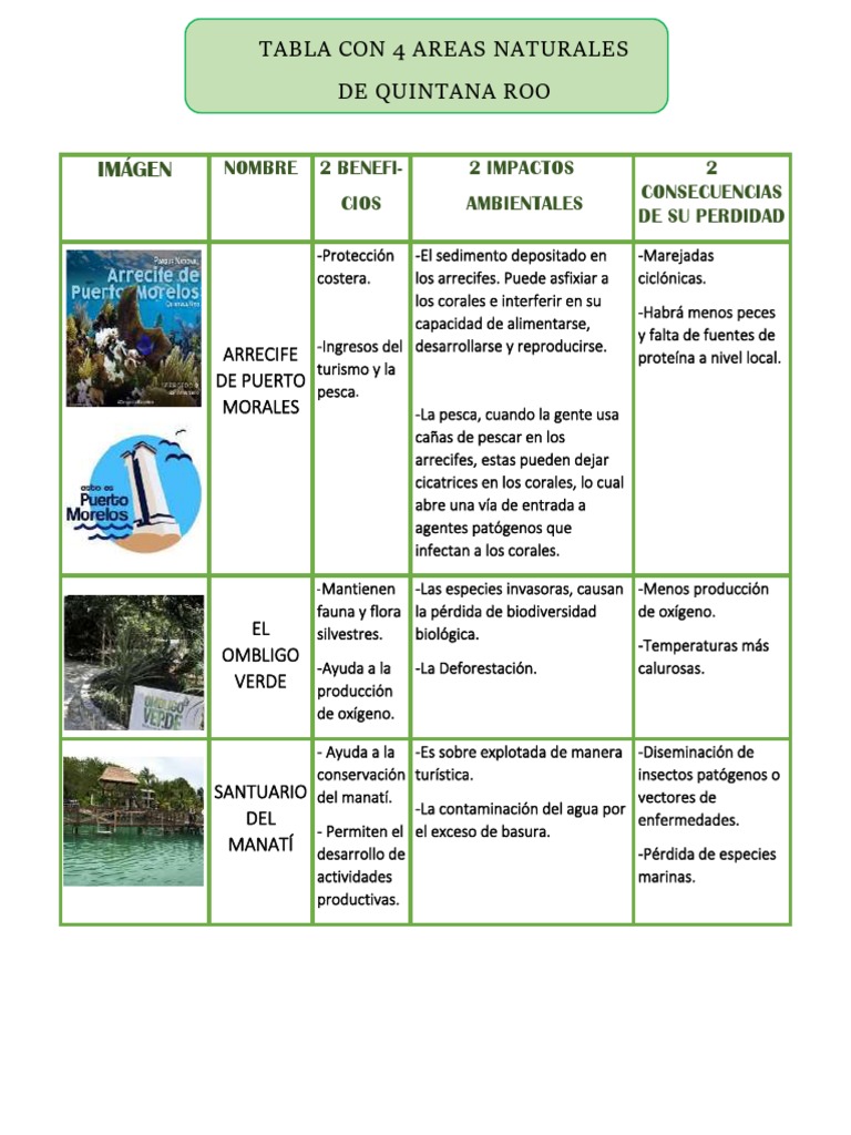 TABLA DE 4 ÁREAS NATURALES DE QUINTANA ROO. ECOLOGÍA. @ksarah.mg | PDF ...