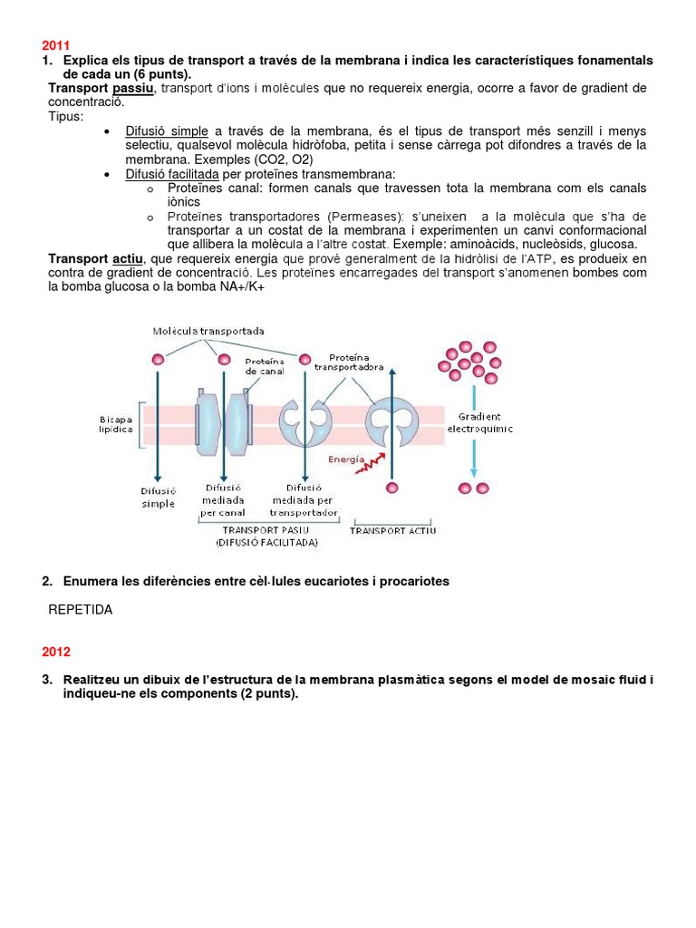 Soluciã Pau Tema 6 | PDF