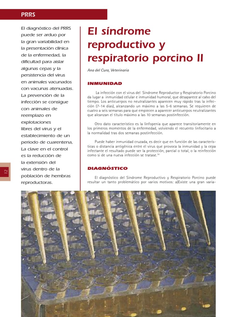 3 Síndrome Reproductivo y Respiratorio Porcino II | PDF | Virus | Sistema inmune